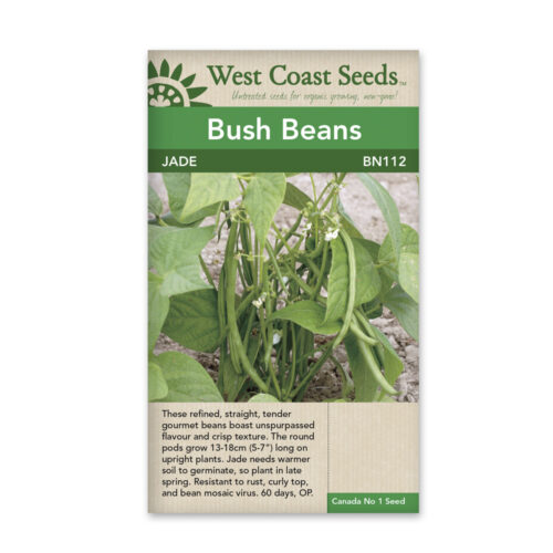 Jade Bush Beans