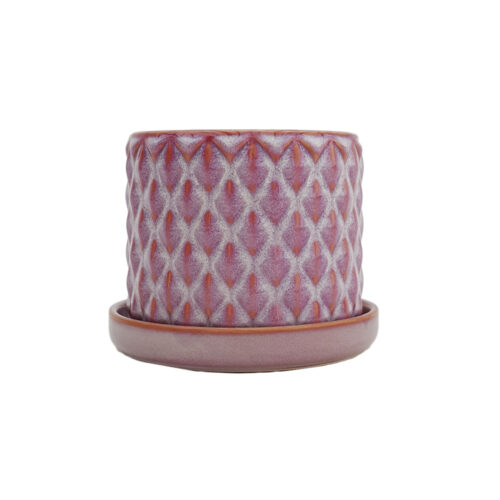 Shop For Indoor Planters + Pots