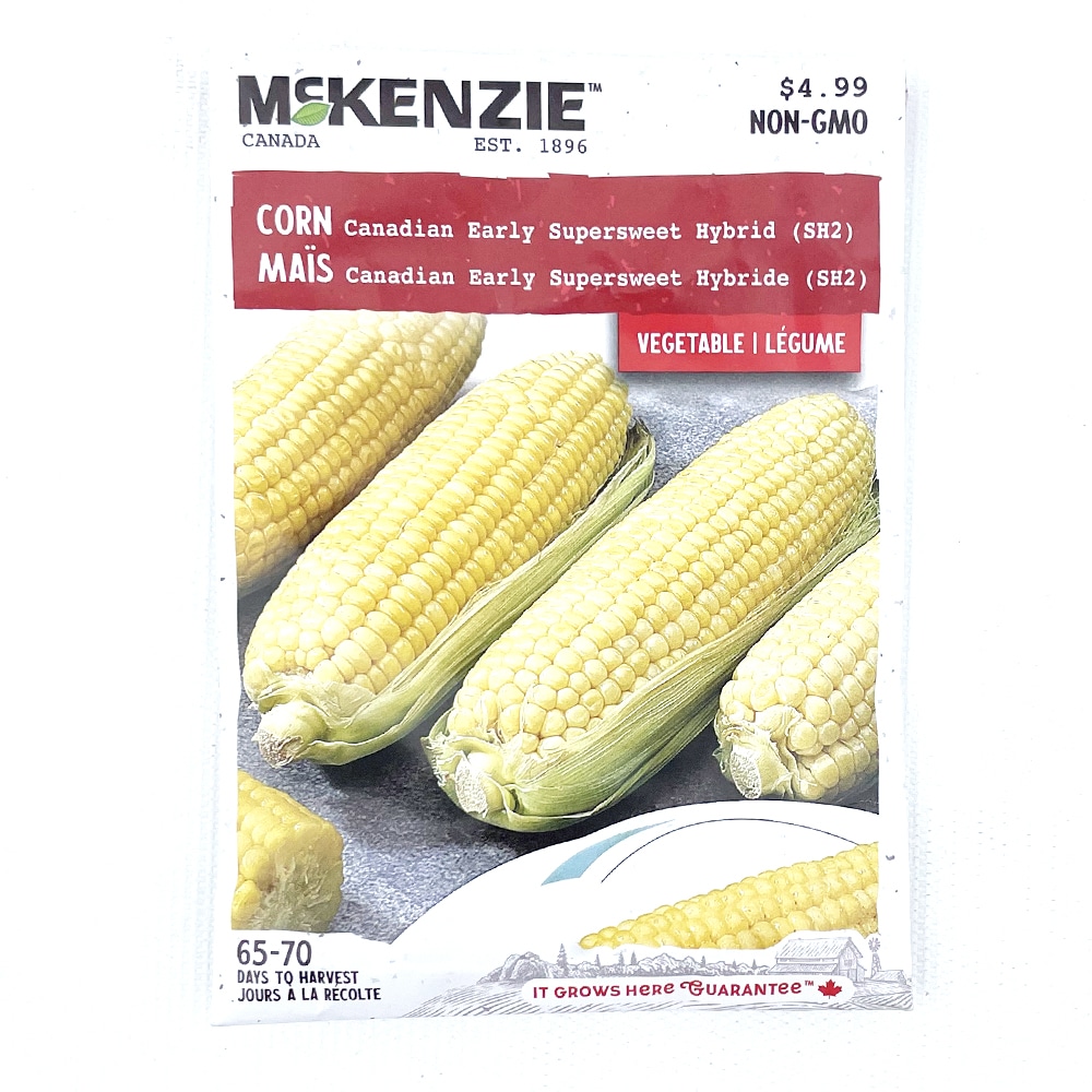 Canadian Early Supersweet Hybrid Corn Seeds